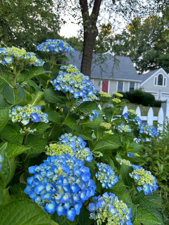 A Quiet Place To Reboot Spirit - Colchester, CT