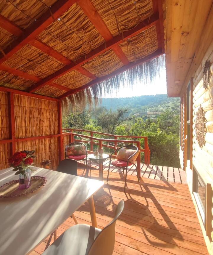 Desconéctate En La Naturaleza - Villa Alemana