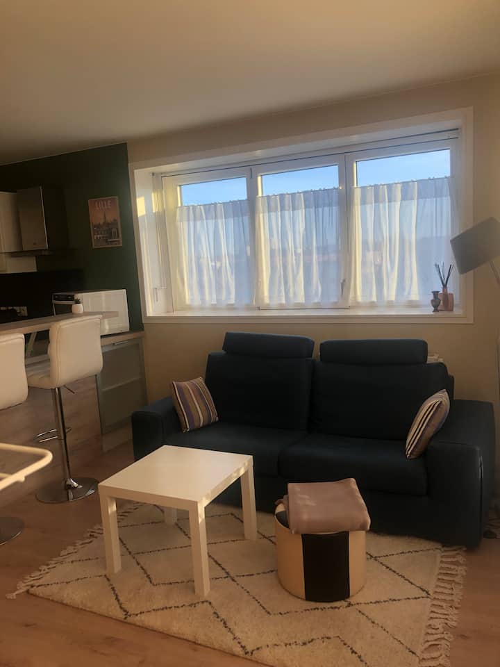 Appartement Lumineux Et Moderne - Lille