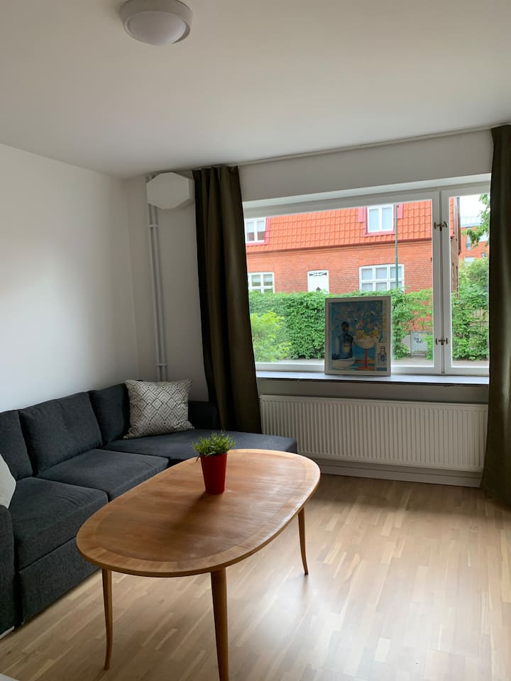 Fully Serviced Central Apartment, All Necessities - Lund