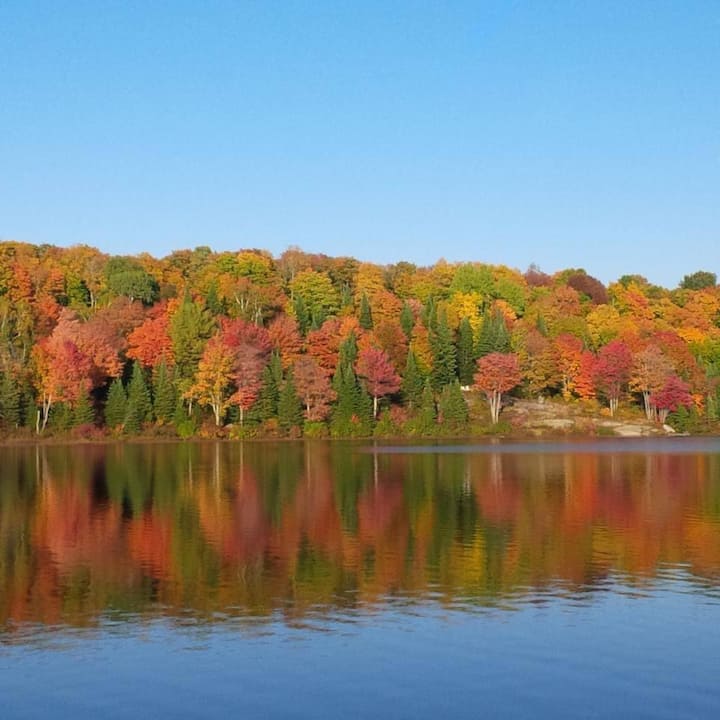 Cozy Cottage On *Semi-private Lake* ~ The Rosie ~ - Muskoka
