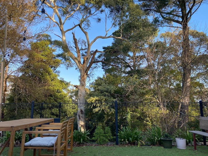Home Among The Gum Trees - Stirling