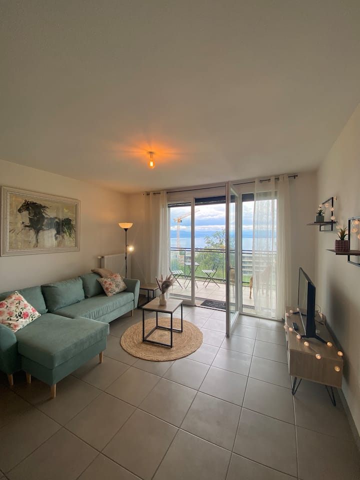 Appartement Avec Vue Imprenable - Évian-les-Bains
