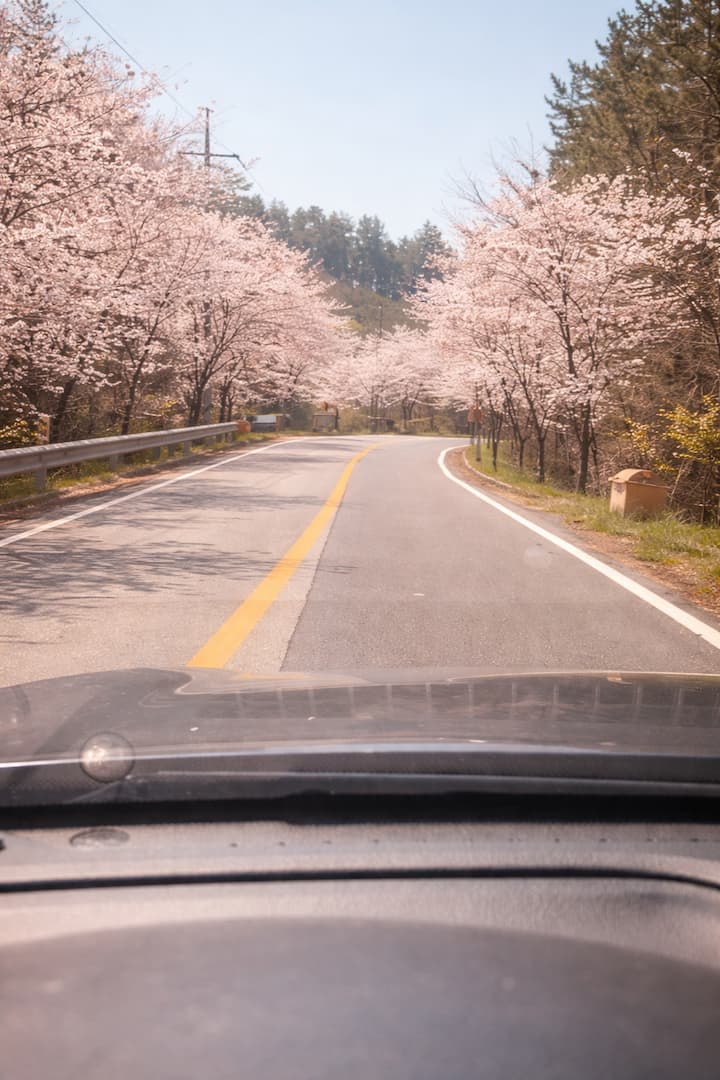 “바다를 품은 오션뷰 독채, 70평 공간과 1000평 정원의 프라이빗 휴양지 더쉼491” - Incheon