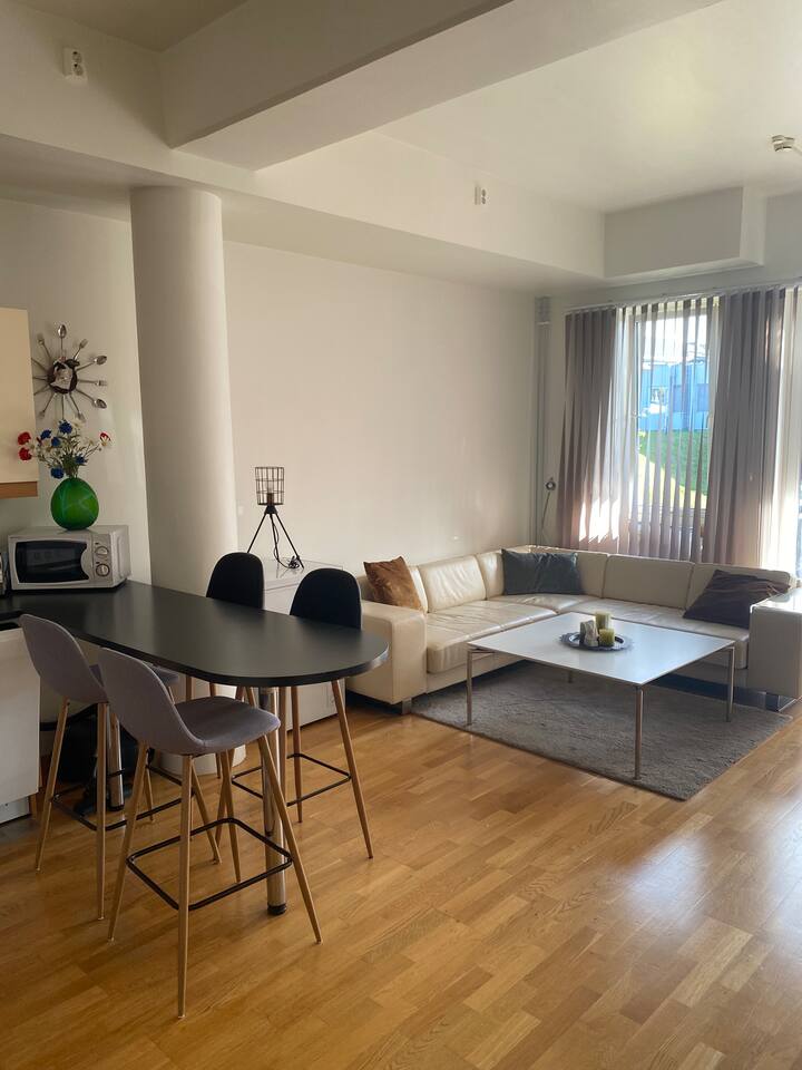 Stor Leilighet I Trondheim På Lade. - Trondheim