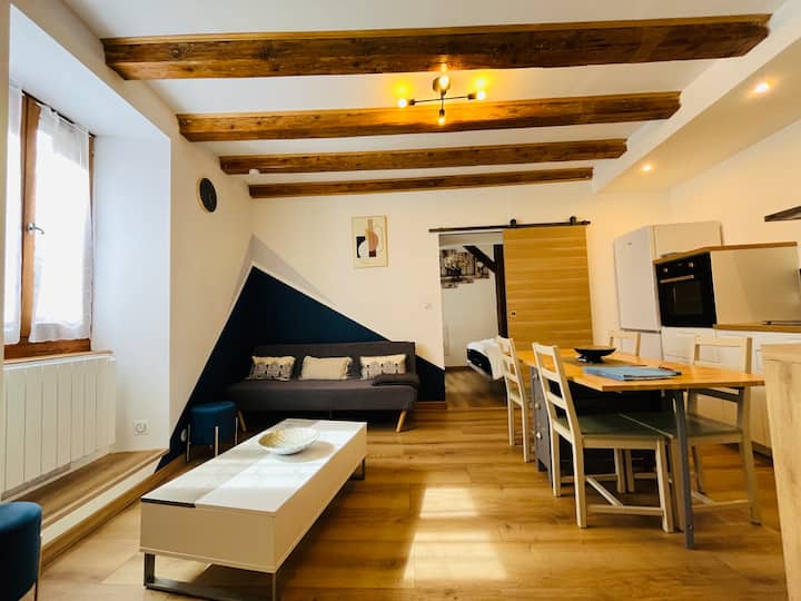 Le Papillon | Centre Vieille Ville | 1 Chambre - Annecy