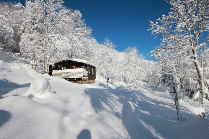 Chalet Le Clou - le Lioran