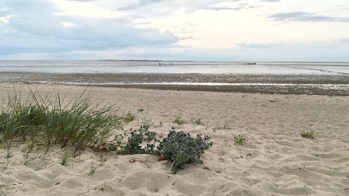 Apartment Zur Nordsee - Wangerooge