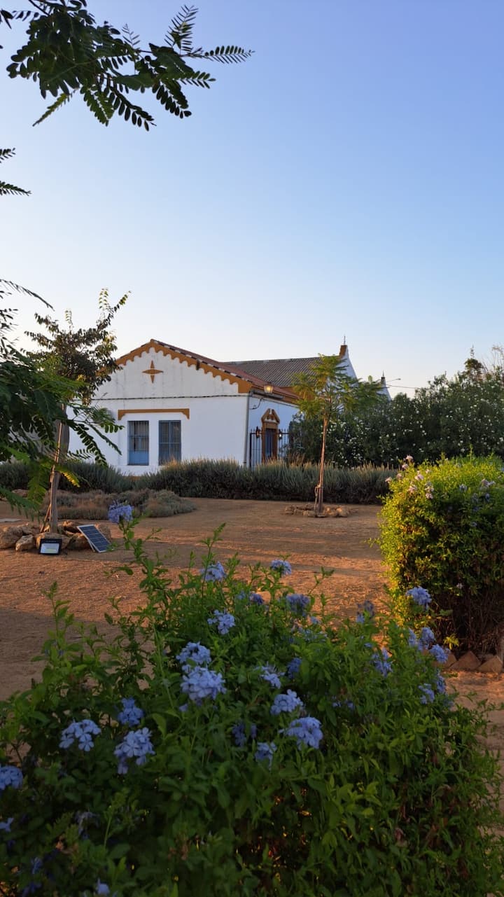Casa De Invitados Privada 90 M - La Campana