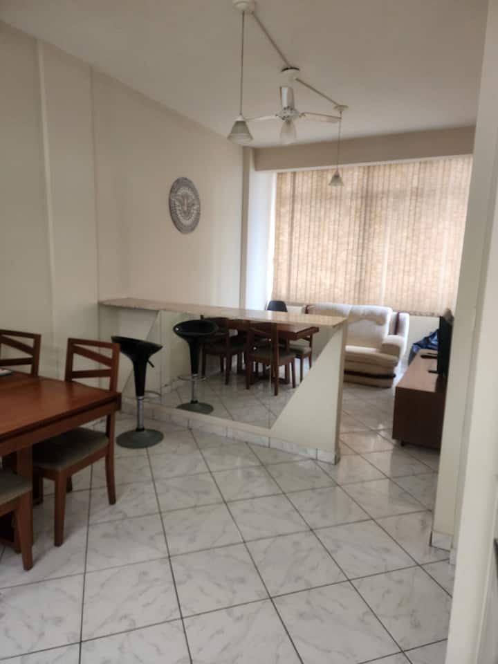 Apto Frente Ao Mar Em Santos - Santos