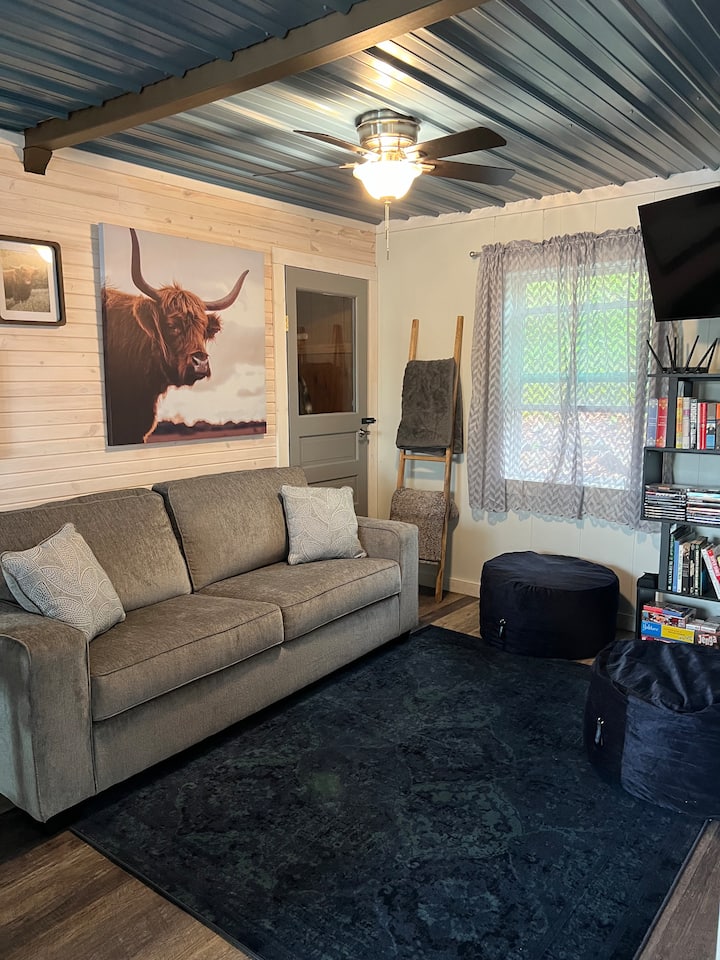 A Quiet Quaint Pet Friendly Cottage - Hastings, MI