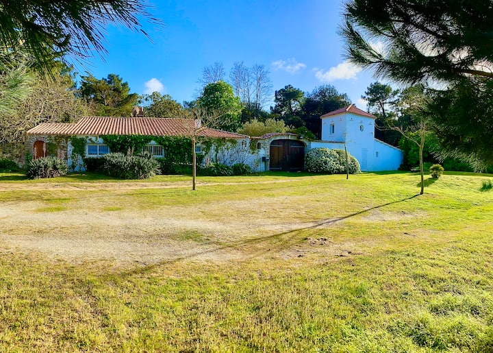 Villa De Prestige Nature, Piscine Vélos 500m Plage - Île de Ré