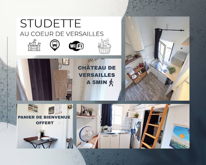 Studette Lumineuse Au Cœur De Versailles - Versailles