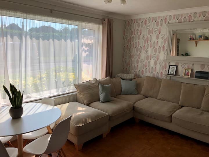 Little Belter… - Cheltenham