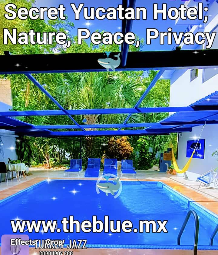 The Blue Eco Lodge - Valladolid
