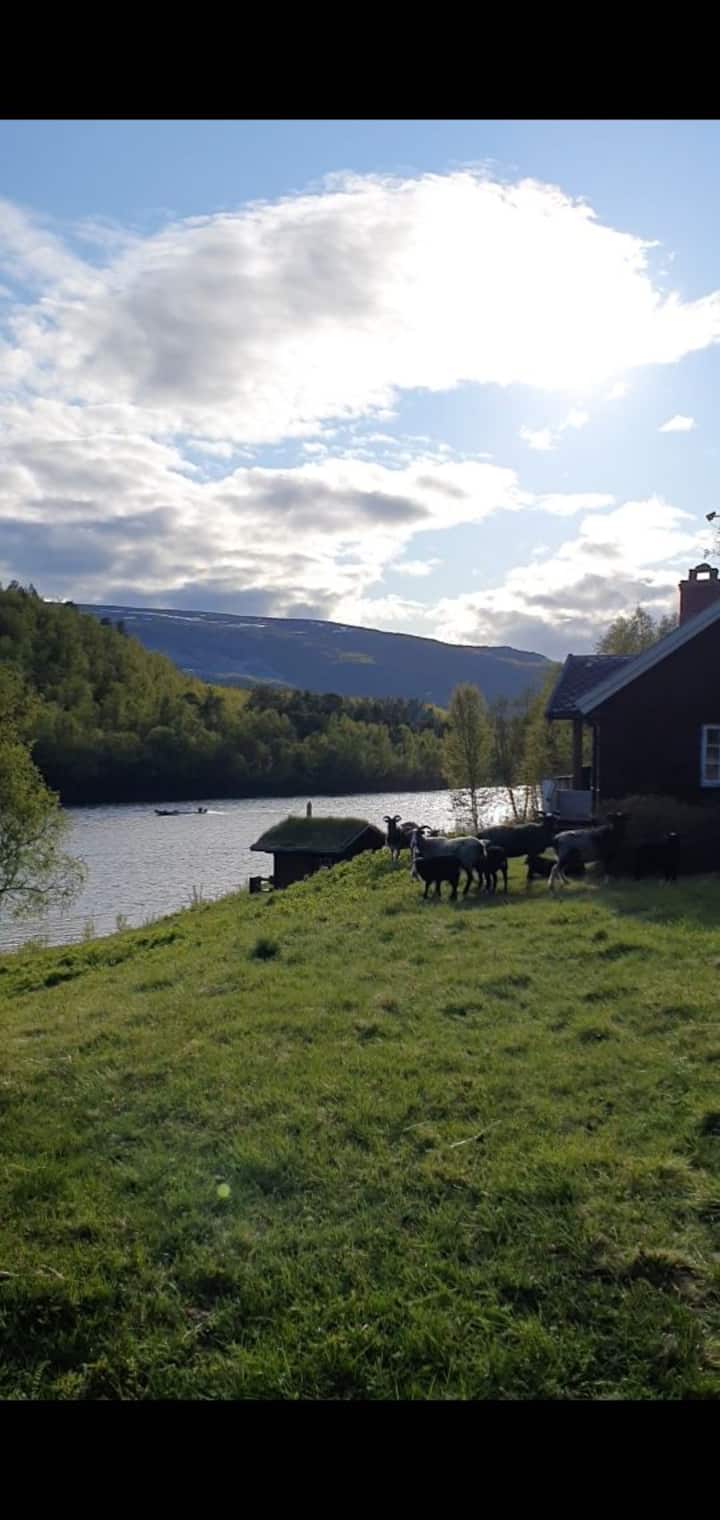 Detsika Sætra - Alta