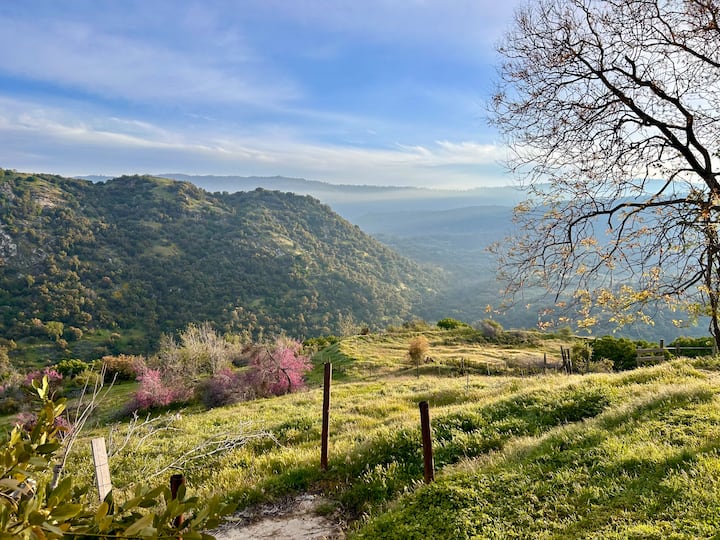Mystic Mountain Retreat - Sequoia National Park