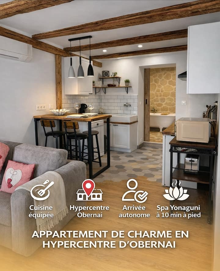 L'appartement Du Beffroi - Bas-Rhin