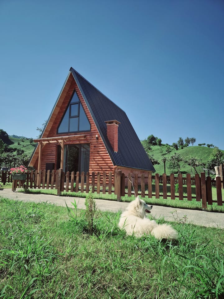 Lettaşi Bungalov - Rize