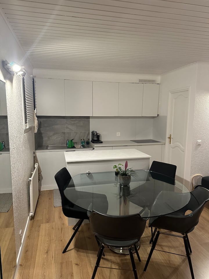 Appartement Cosy Centre De Sion - Sion