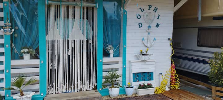 Dophin Caravan - Chernomorets