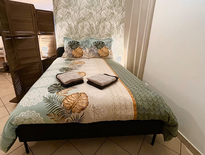 Magnifique Appartement (2) - Le Puy-en-Velay