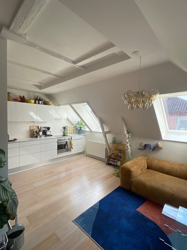 Cozy & Cute Apartment For 2! - Copenhague