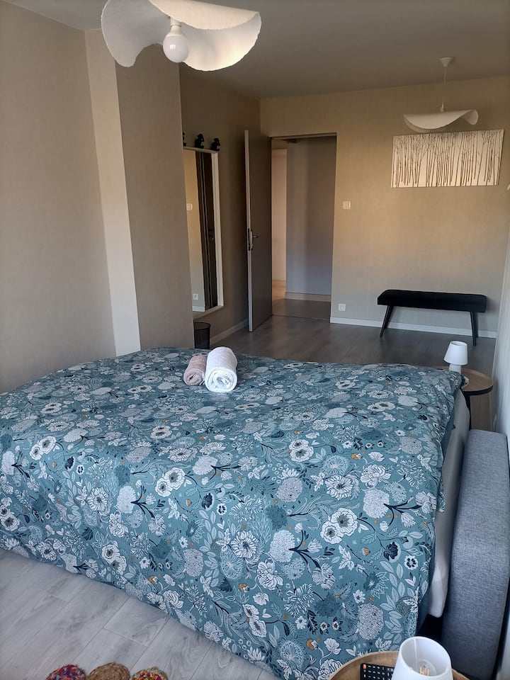 Chambre Cosy + Garage Sécurisé Pour Deux-roues - Toul