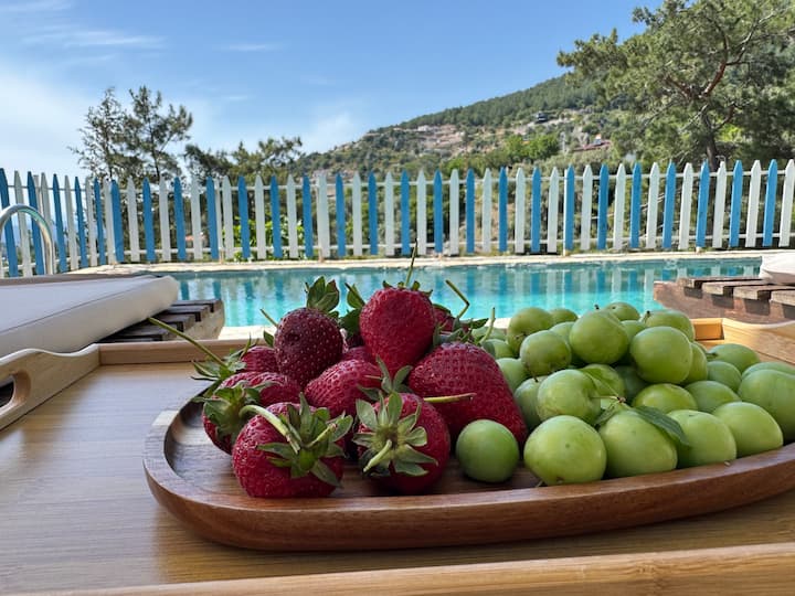 Villa Tulya - Denizli