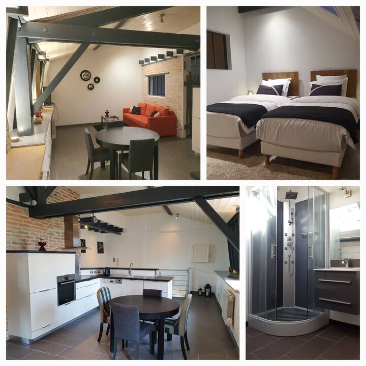 Loft Spacieux Au Centre De Paray - Digoin