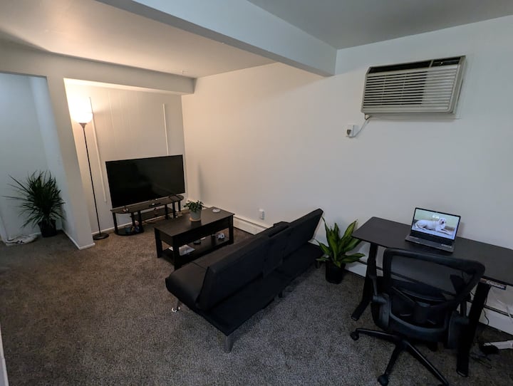 Apartment Next To Central Campus - Ann Arbor, MI