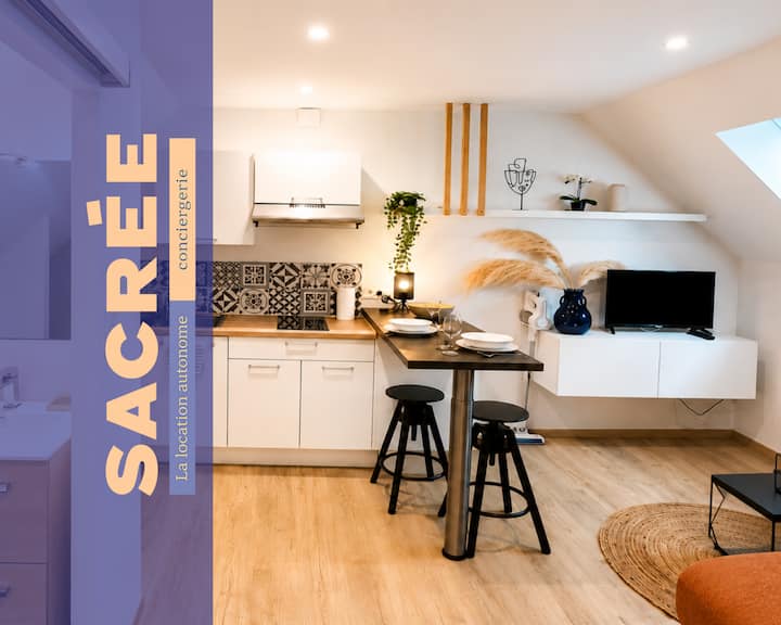Charmant Studio Hyper Centre - Rodez