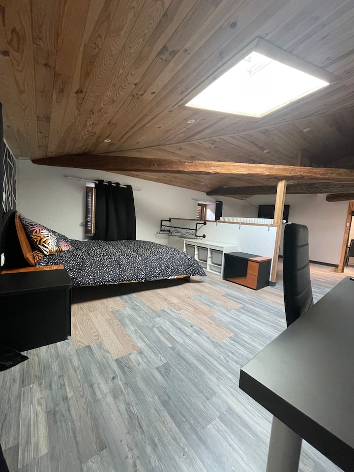 Le Loft Mansardé - Ambert