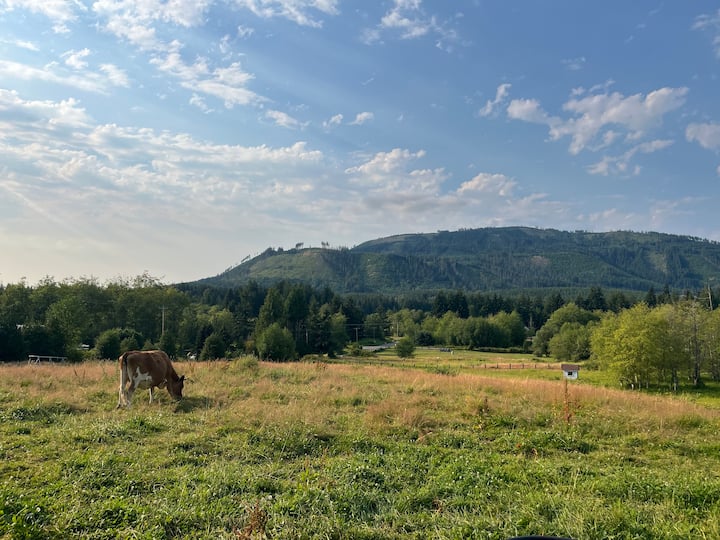 Country Cottage Hideaway At Walnut Hill Homestead - Lake Cavanaugh, WA