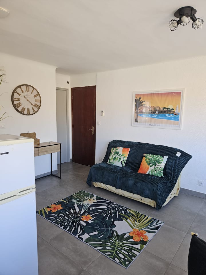 Maison Climatisée Jardin 300m De La Mer - Canet-en-Roussillon