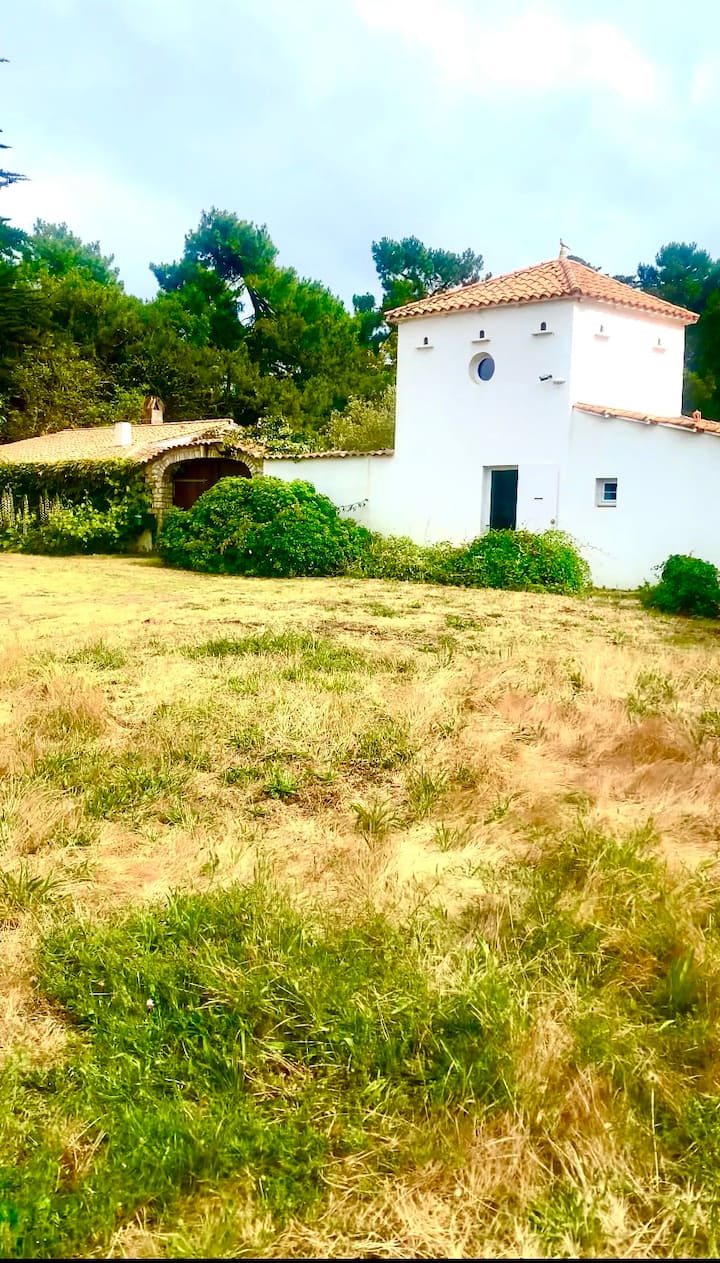 Au Cœur De La Forêt, Vélos, Piscine, 500m Plage - Île de Ré