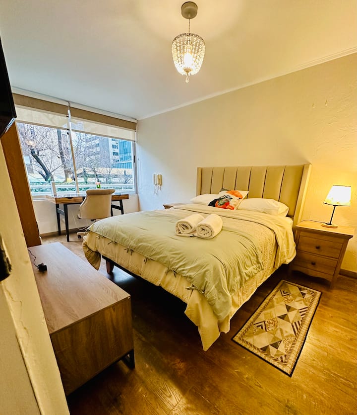 Apartamento En Providencia - Providencia