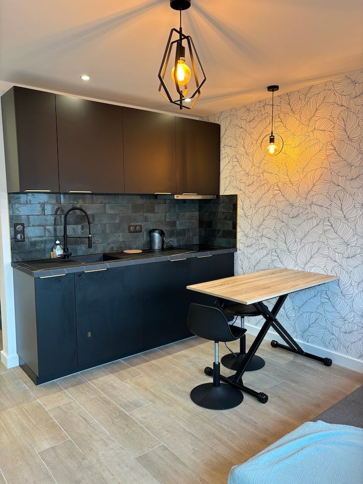 Studio Centre De La Bocca, Proche Plage, No Clim - ibis Cannes Plage La Bocca