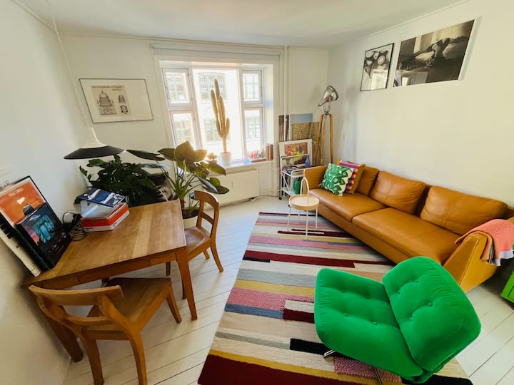 Cosy Studio Apartment Copenhagen - Copenaghen