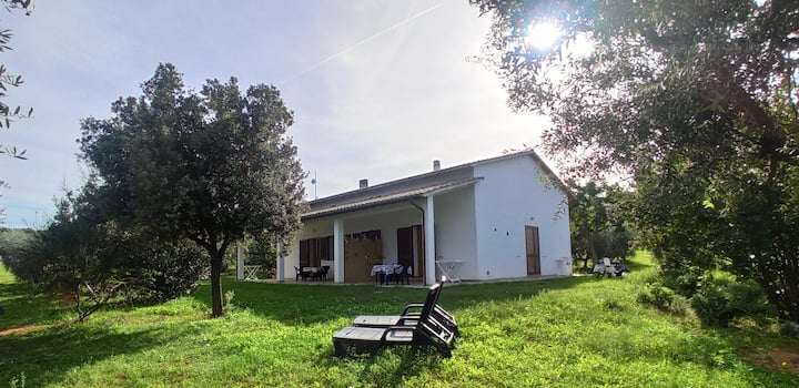 La Tana Della Volpe Appartamento Per Due Persone - Marina di Grosseto