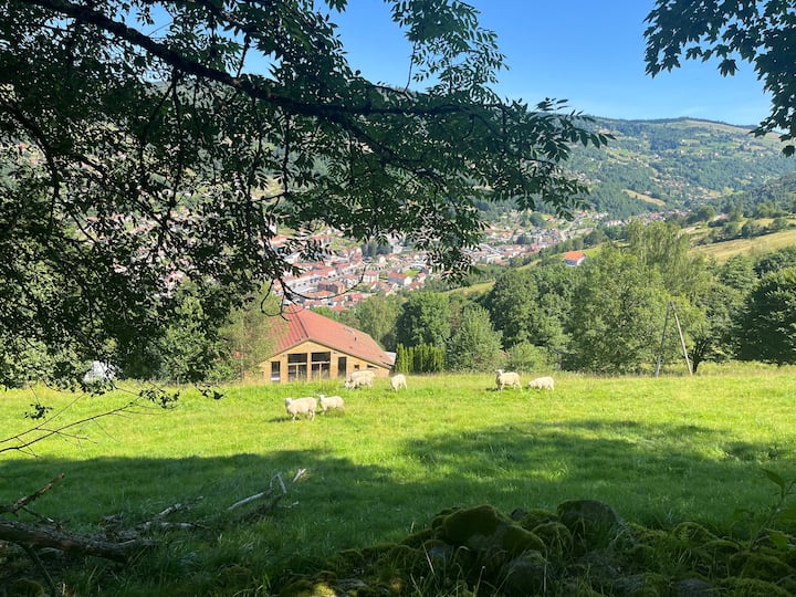 Ferme Rénovée 15p – Spa, Sauna & Vue Panoramique - Vogesen