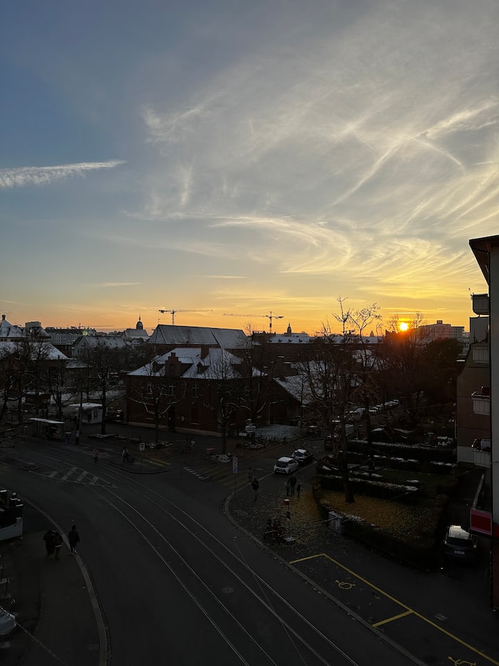Central, Spacious & Cozy – Apartment For Groups - Basel