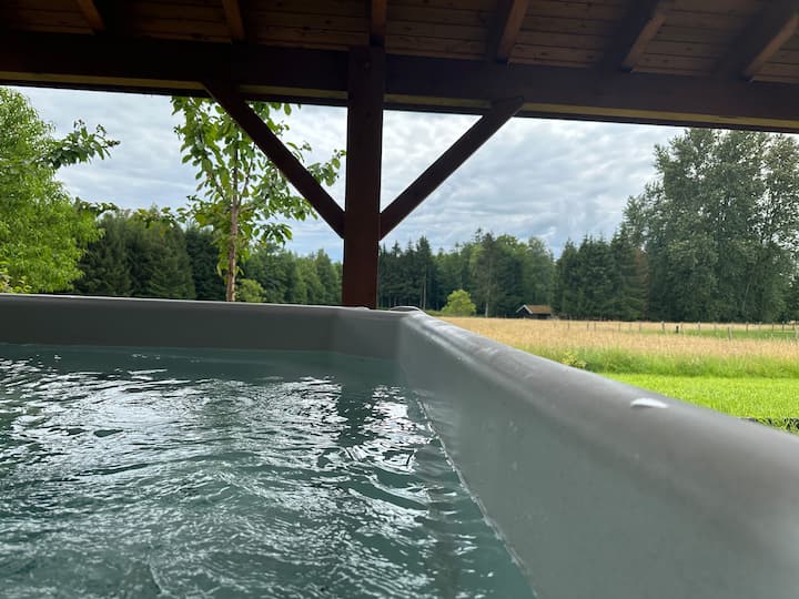 Chalet Dans Un éCrin De Verdure Avec Spa Privatif - Rambervillers