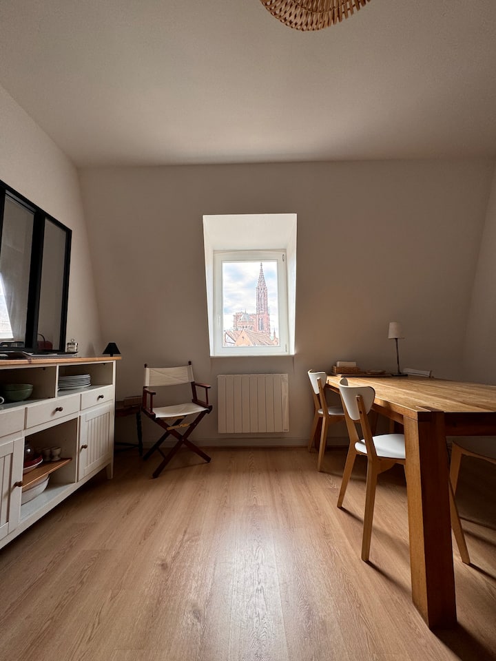 Appartement Vue Sur Cathédrale Hypercentre - 聖特拉斯堡