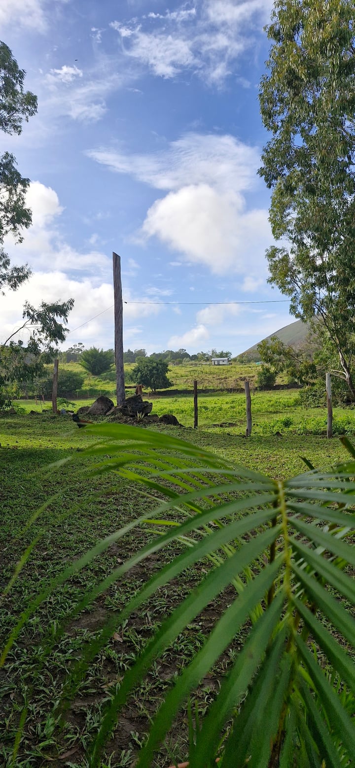 Nativo Pride Habitaciones Boutique Rapa Nui - Easter Island