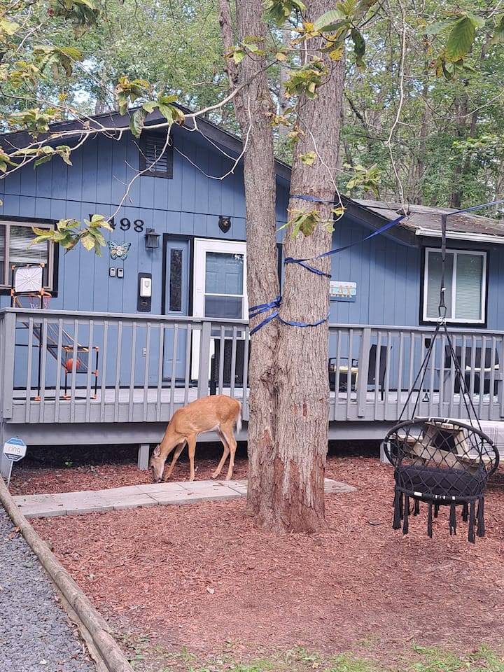Fun Home W/popcorn/games/firepit/deerfeeding - Tobyhanna, PA