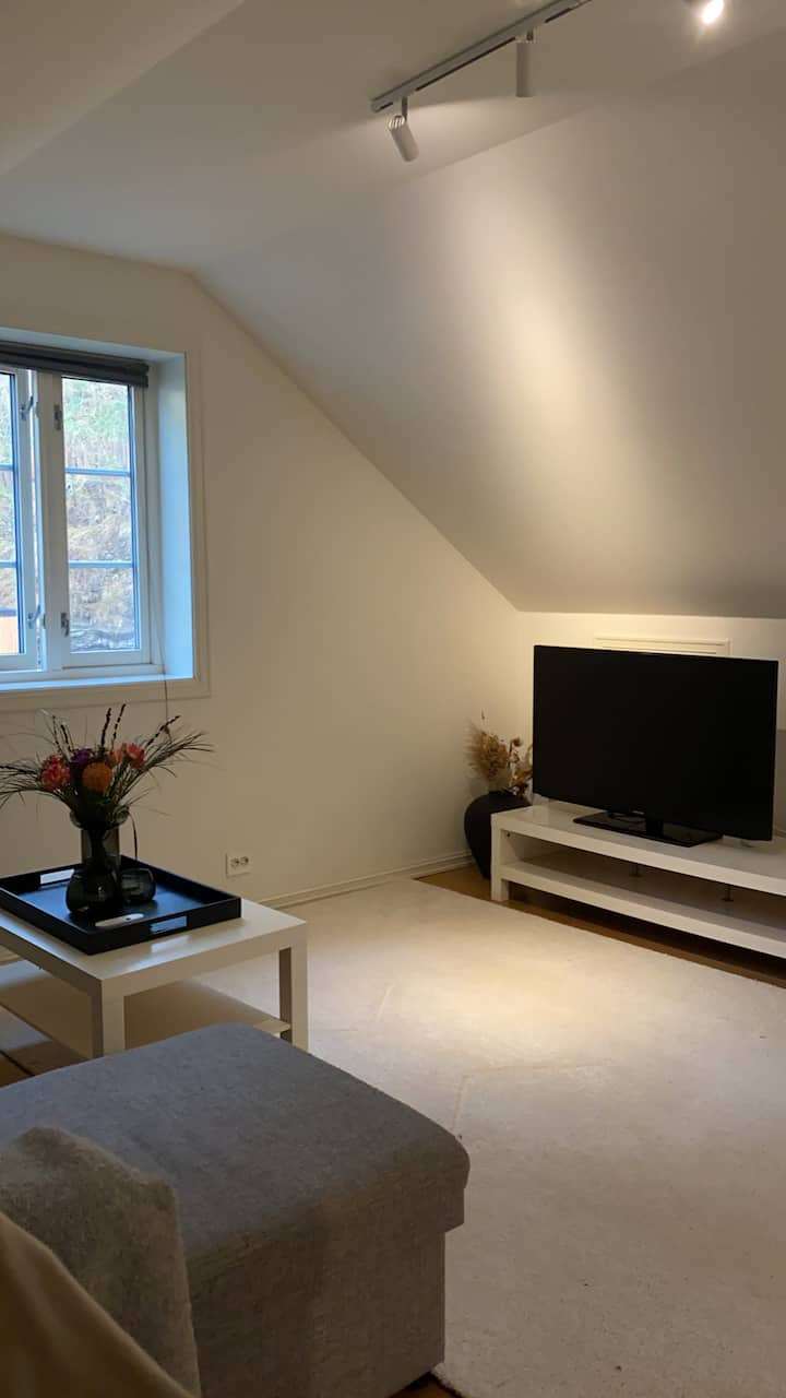 Tromsø Sentral Appartment (Sentrum) - Tromsø