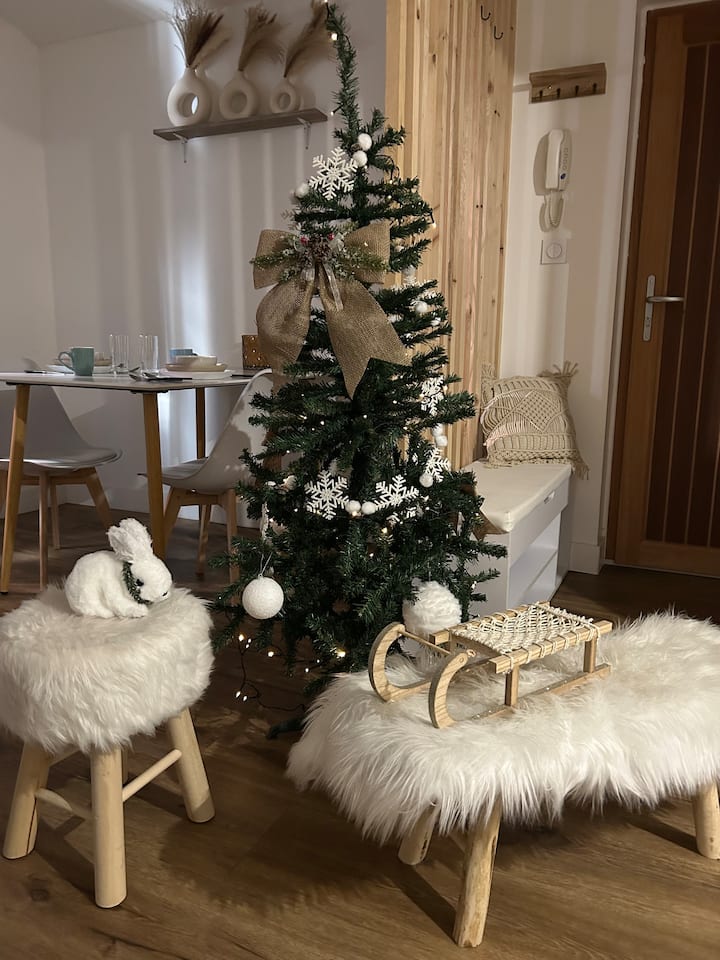 La Cachette Secrète Du Père Noël - Le Puy-en-Velay