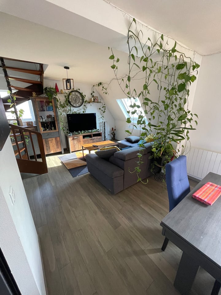 Appartement Duplex - Erstein