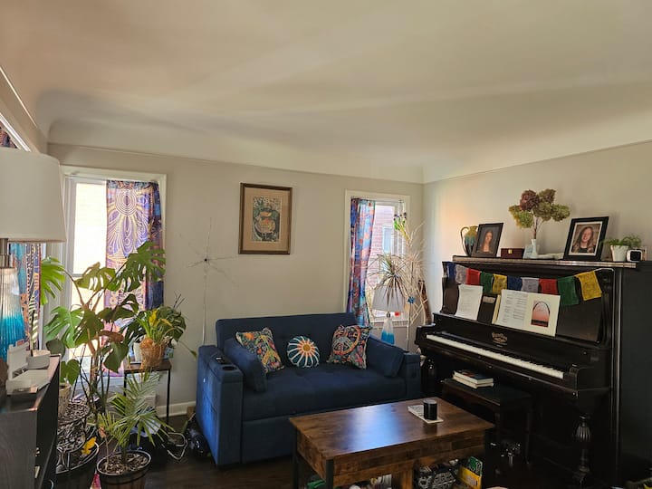 Happy Hippie Haven - Southfield, MI